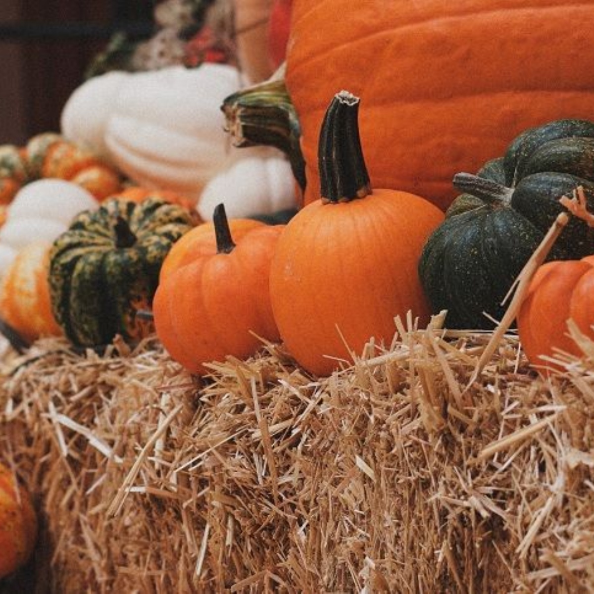 UCC Newsletter - Friday 13th October 2023 - Uppingham Community College