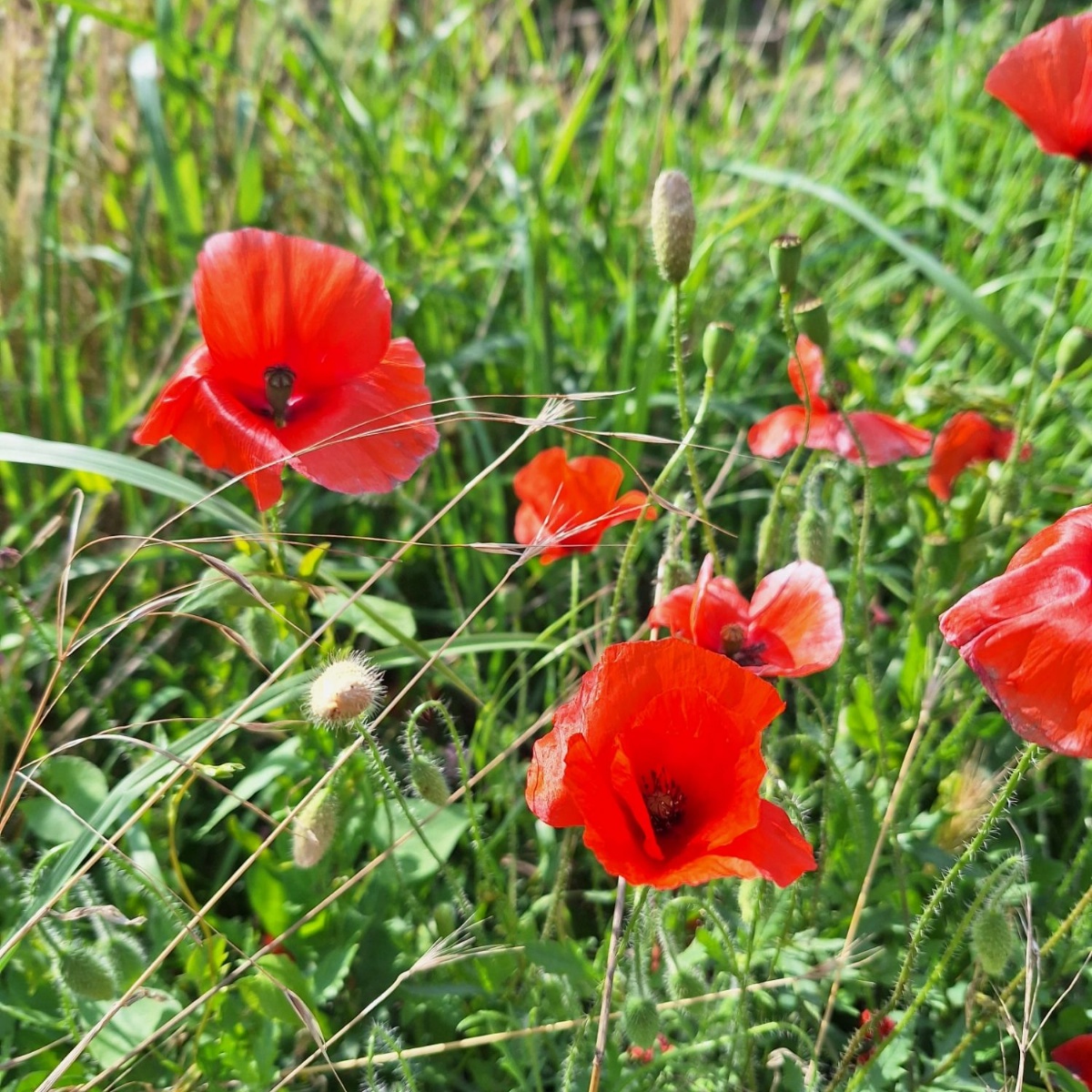 UCC Newsletter - Friday 10th November 2023 - Uppingham Community College