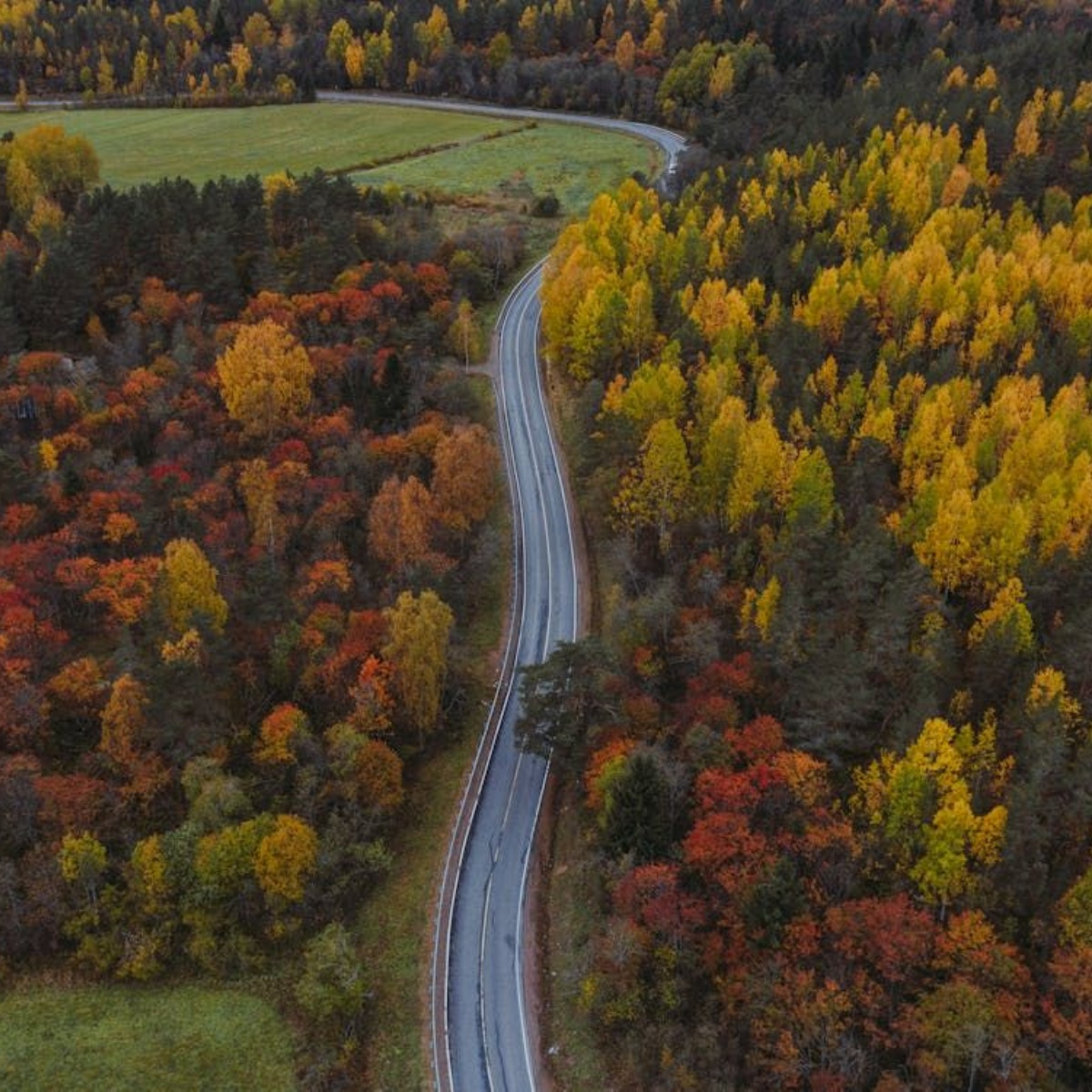 UCC Newsletter - Friday 20th September 2024 - Uppingham Community College